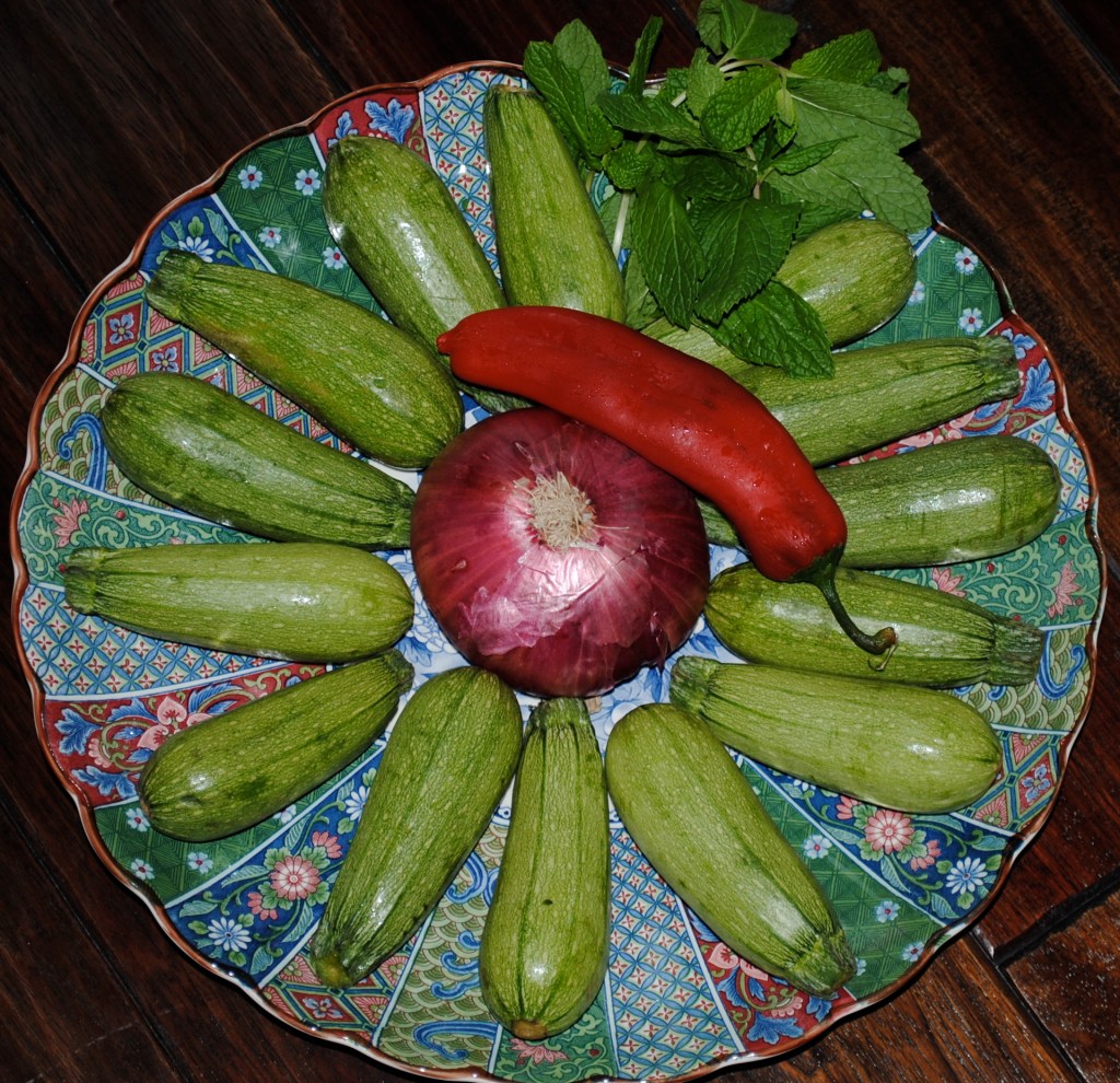 Koussa – Stuffed Squash – Just For Licks